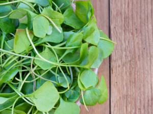 How to Cook with Watercress – The Leaf