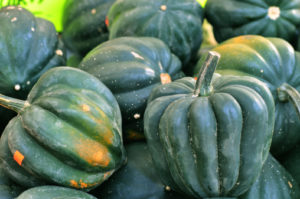 7 Squash Varieties to Try This Season - The Leaf