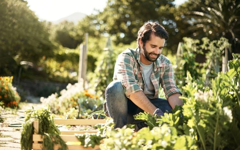 10 Home Gardening Tips for Beginners | The Leaf Nutrisystem