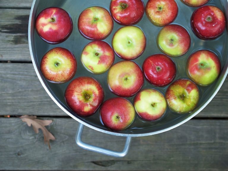 8 Fun and Healthy Halloween Celebration Ideas | The Leaf