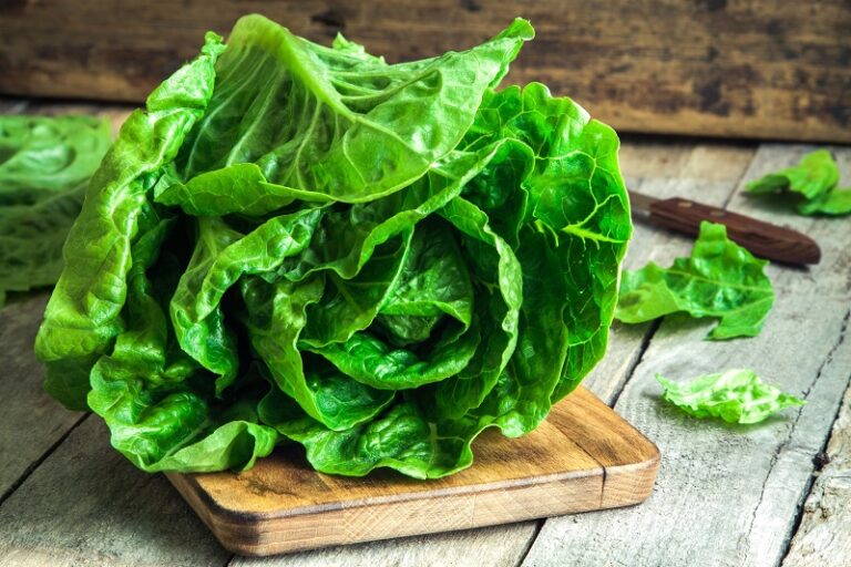 10 Green Foods You'll Love | The Leaf Nutrisystem Blog