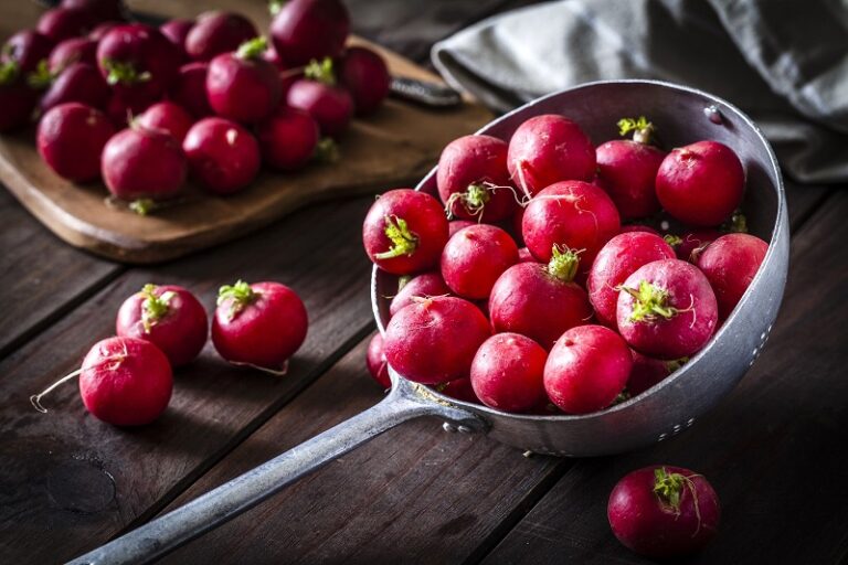 Health Benefits of Radishes | The Leaf