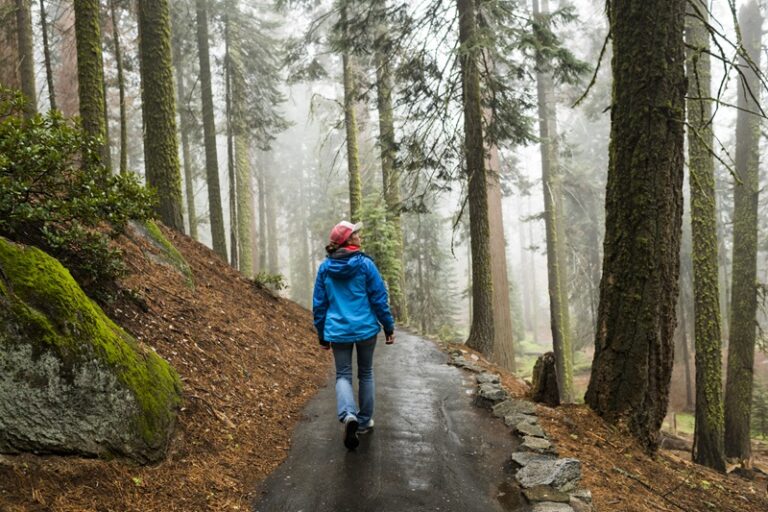 6 Easy Mindfulness Exercises to Reduce Stress | The Leaf